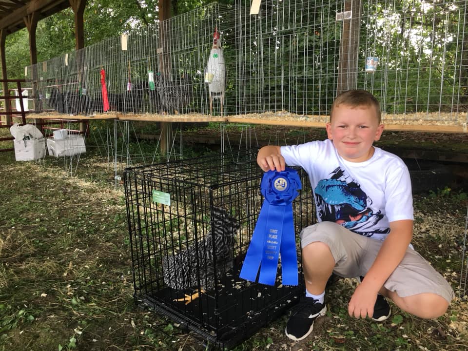 Chick-Chain | Scott County