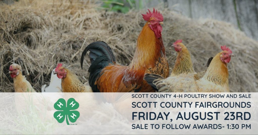 Chick-Chain | Scott County